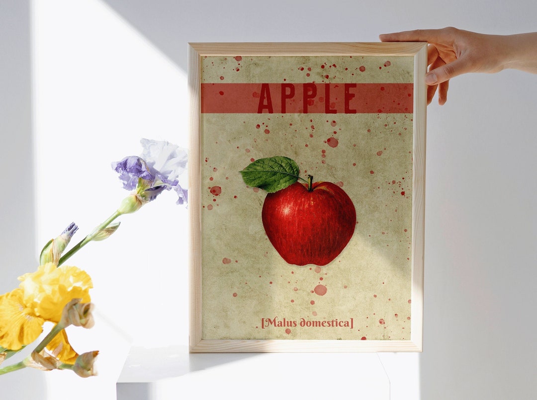Vintage Watercolor Apple | Pomology | Poster | Digital Download | High ...