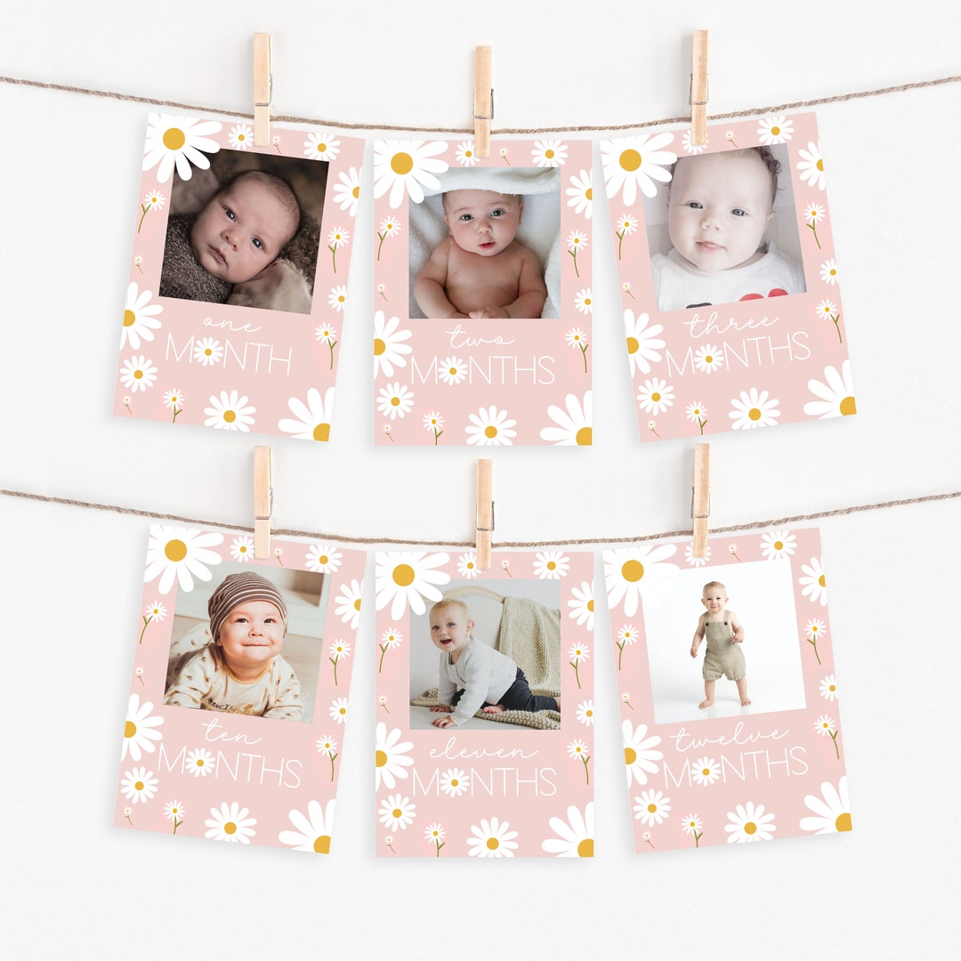 Editable Daisy Birthday Party 12 Month Photo Banner, Boho Daisy 1st ...