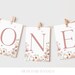 Editable Wildflower First Birthday Milestone Poster, Floral 1st ...