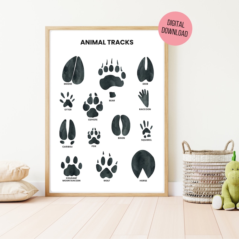 Watercolor Animal Tracks Poster, Homeschool Printable, Nature Study ...