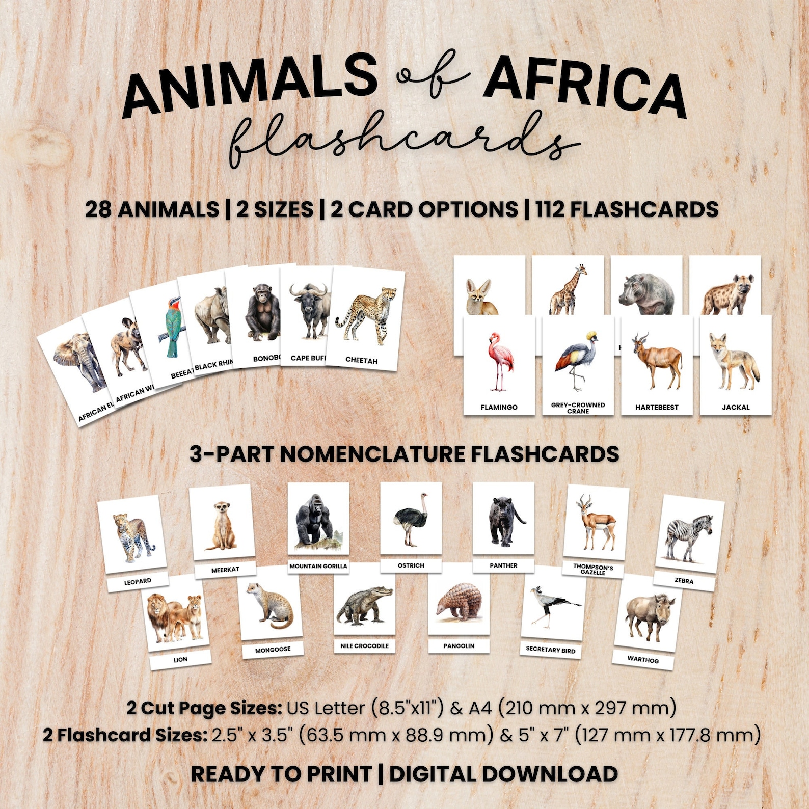 African Animals Flashcards | Three-part Montessori Flashcards | 28 ...