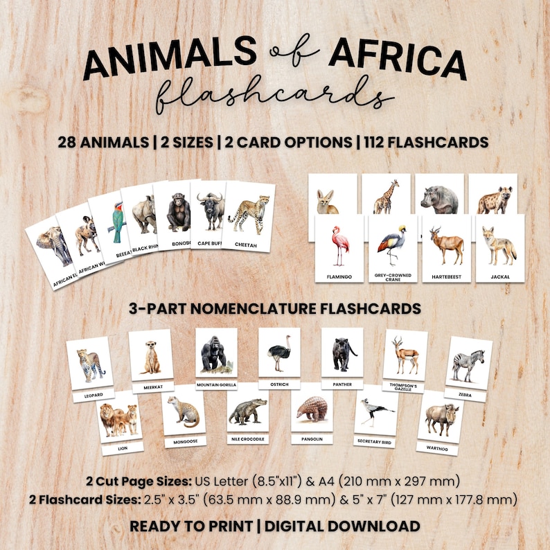African Animals Flashcards | Three-part Montessori Flashcards | 28 ...