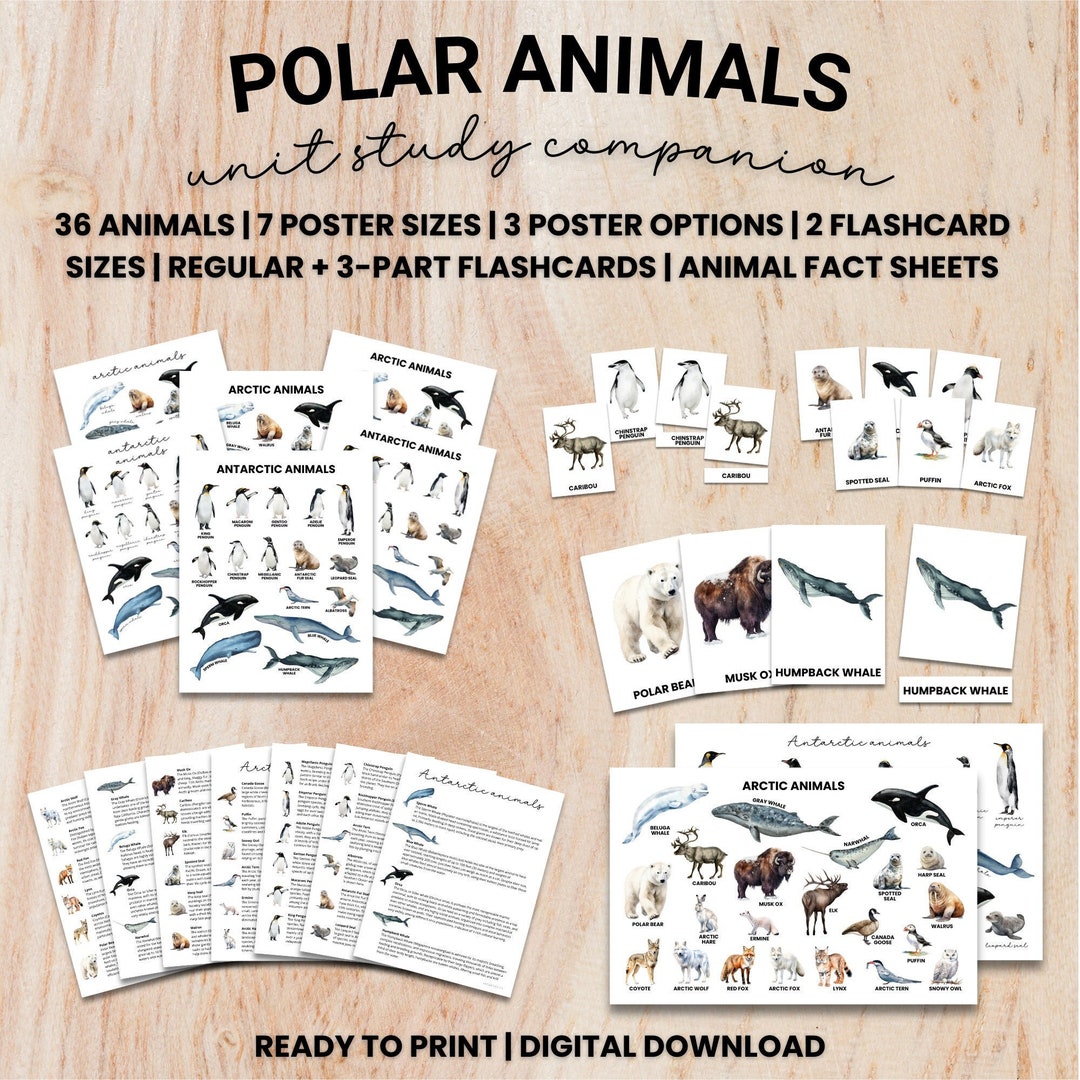 Polar Animals Poster & Flashcard Bundle, Wildlife Art Print, Watercolor ...