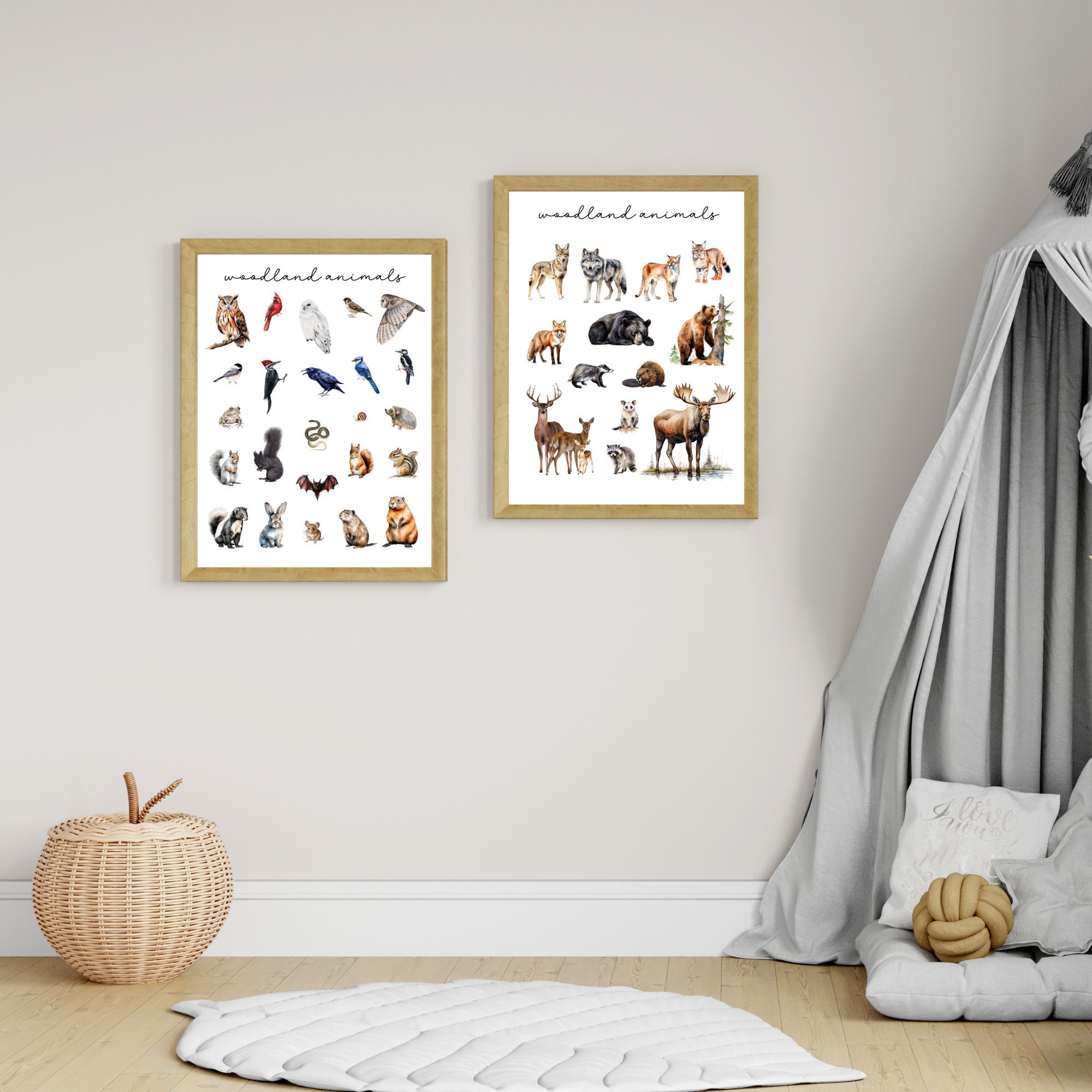 Watercolor Woodland Animals Posters, Homeschool Printable, Nature Study ...