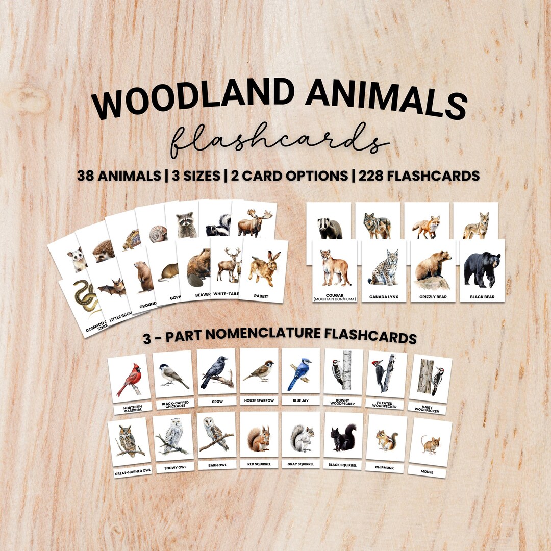 Woodland Animal Flashcards | Three-part Montessori Cards | 38 Animals ...