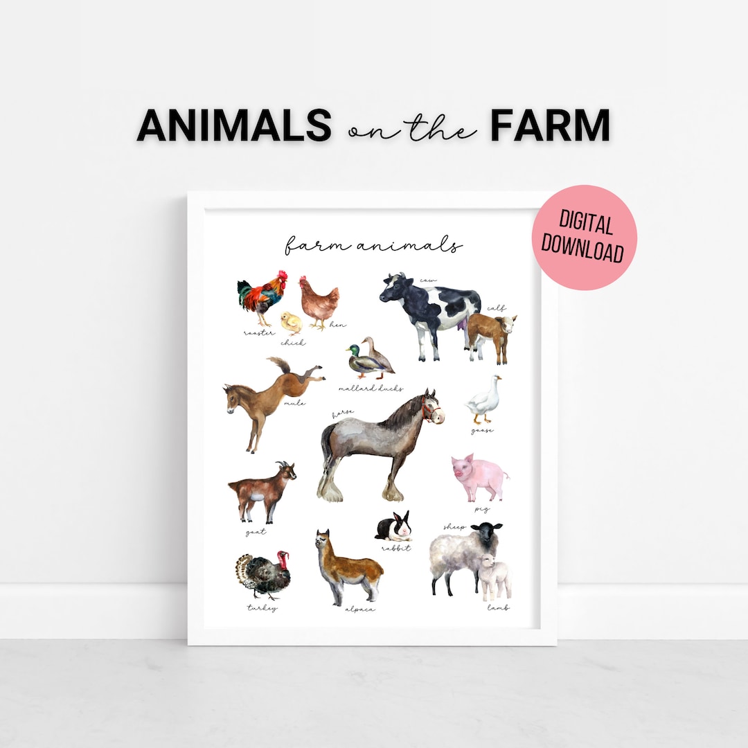 Watercolor Farm Animals Poster: Educational Nature Wall Art (digital ...