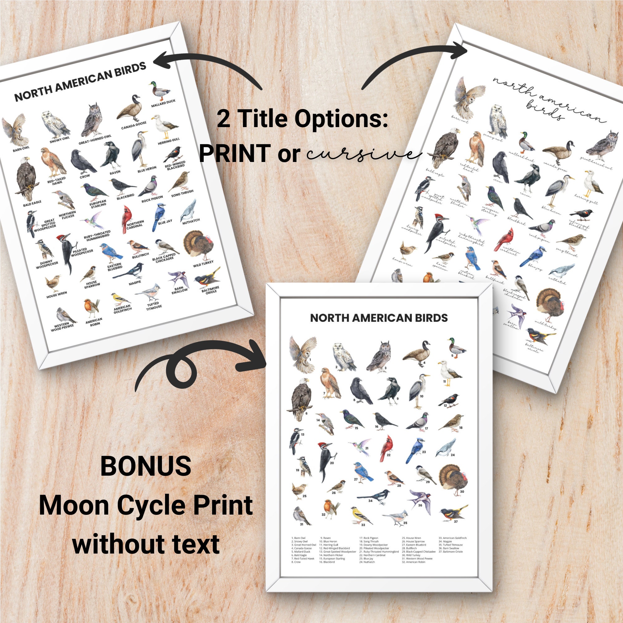 Watercolor North American Birds Poster, Birds Wall Decor, Homeschool ...