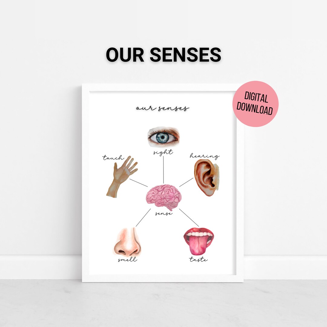 Watercolor Human Senses Poster: Homeschool Printable (digital Download ...