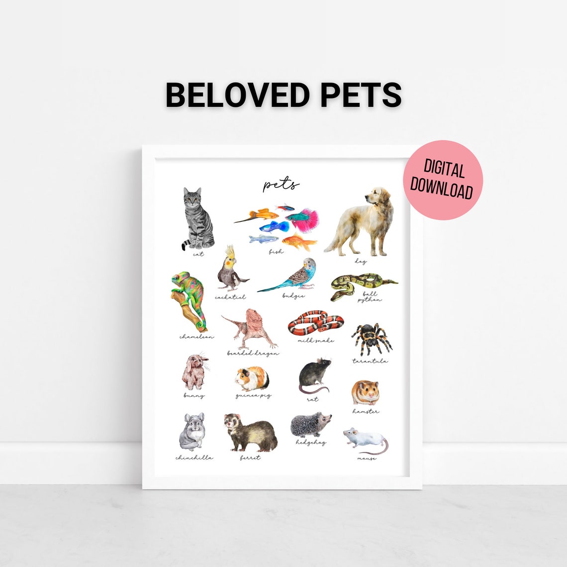 Watercolor Pets Poster, Homeschool Printable, Domestic Animals ...