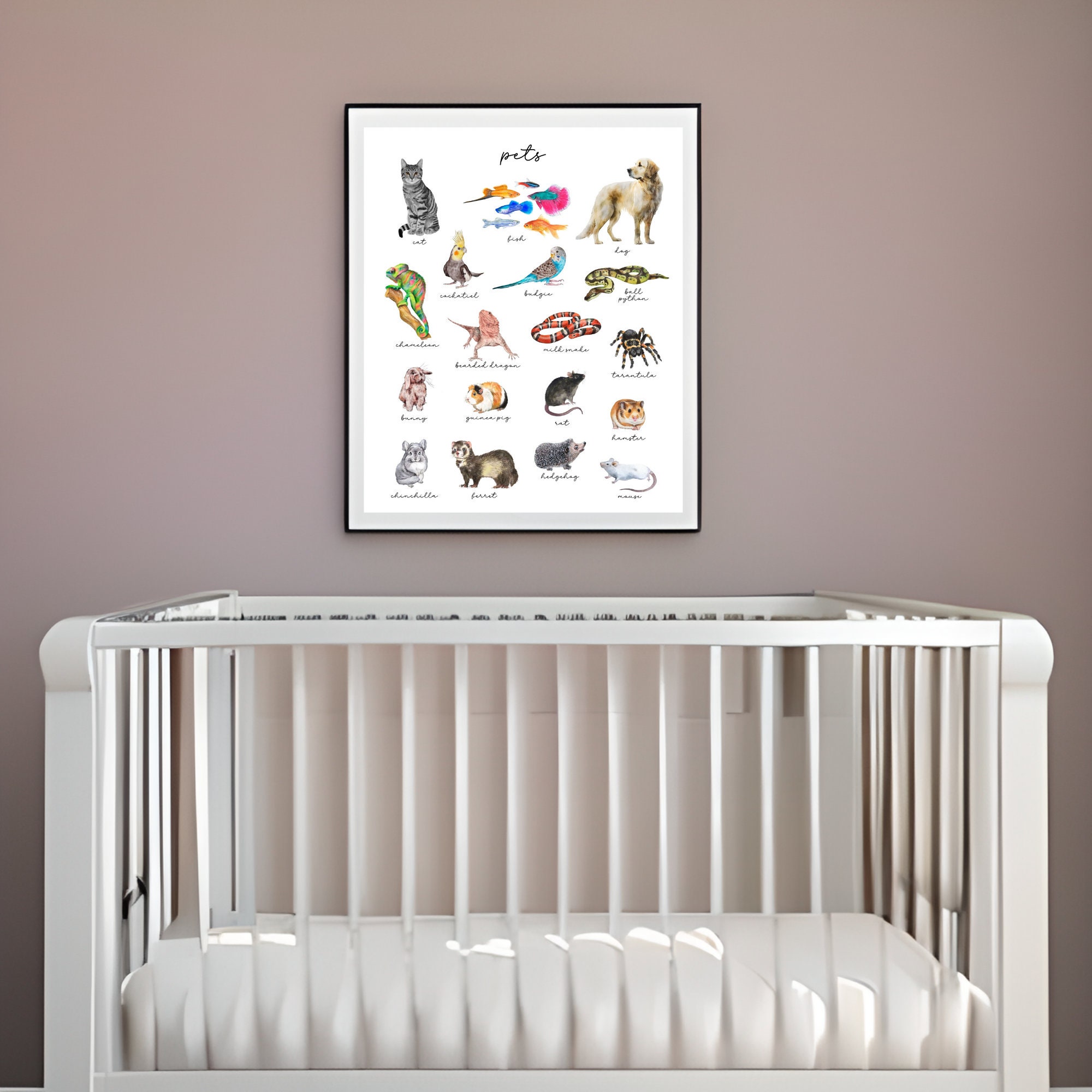 Watercolor Pets Poster, Homeschool Printable, Domestic Animals ...