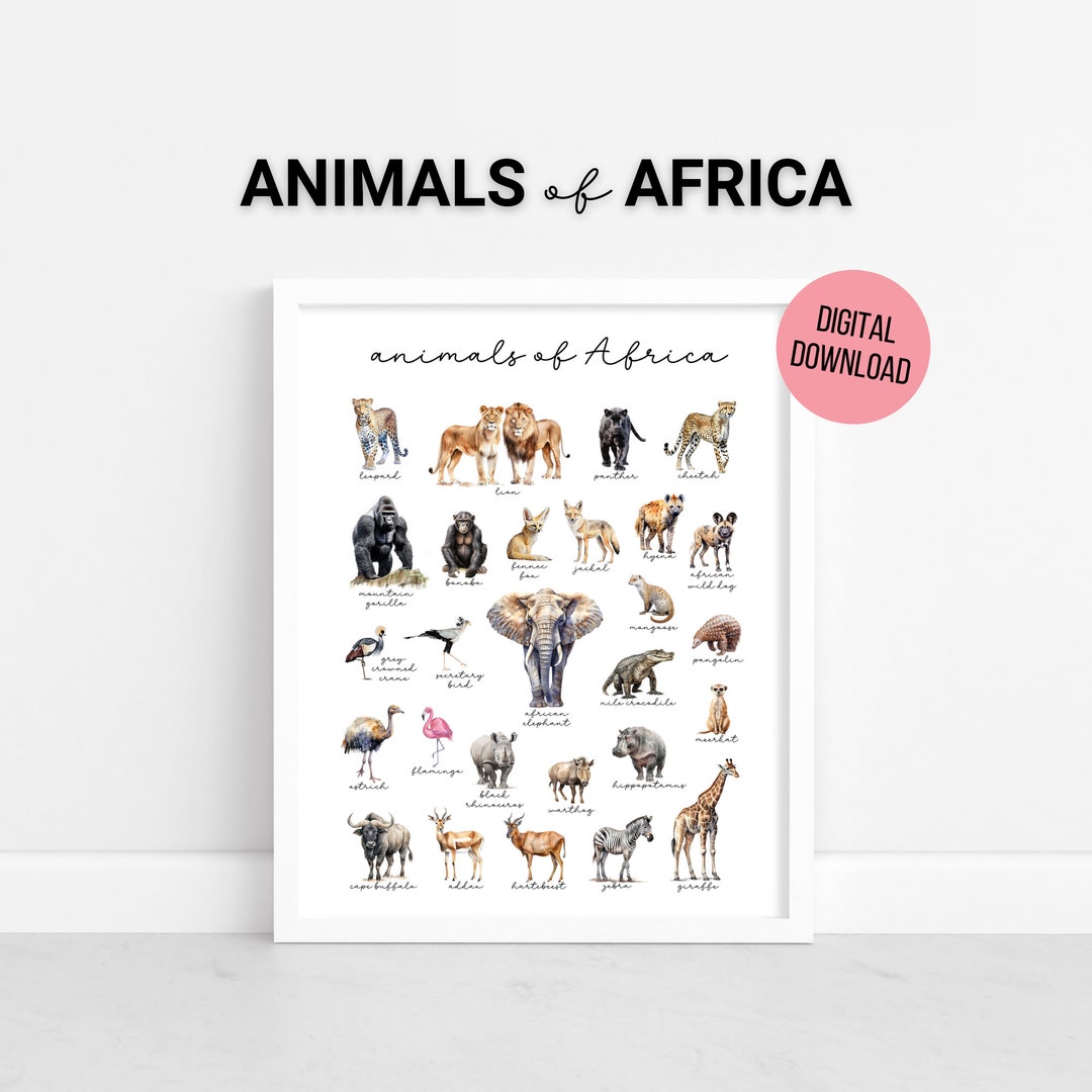 African Animals Poster, Homeschool Science Printable, Watercolor Wall ...