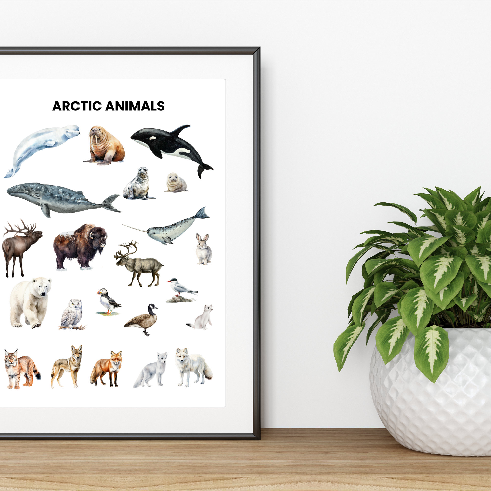 Arctic Animals Watercolor Poster, Homeschool Printable, Nature Study ...