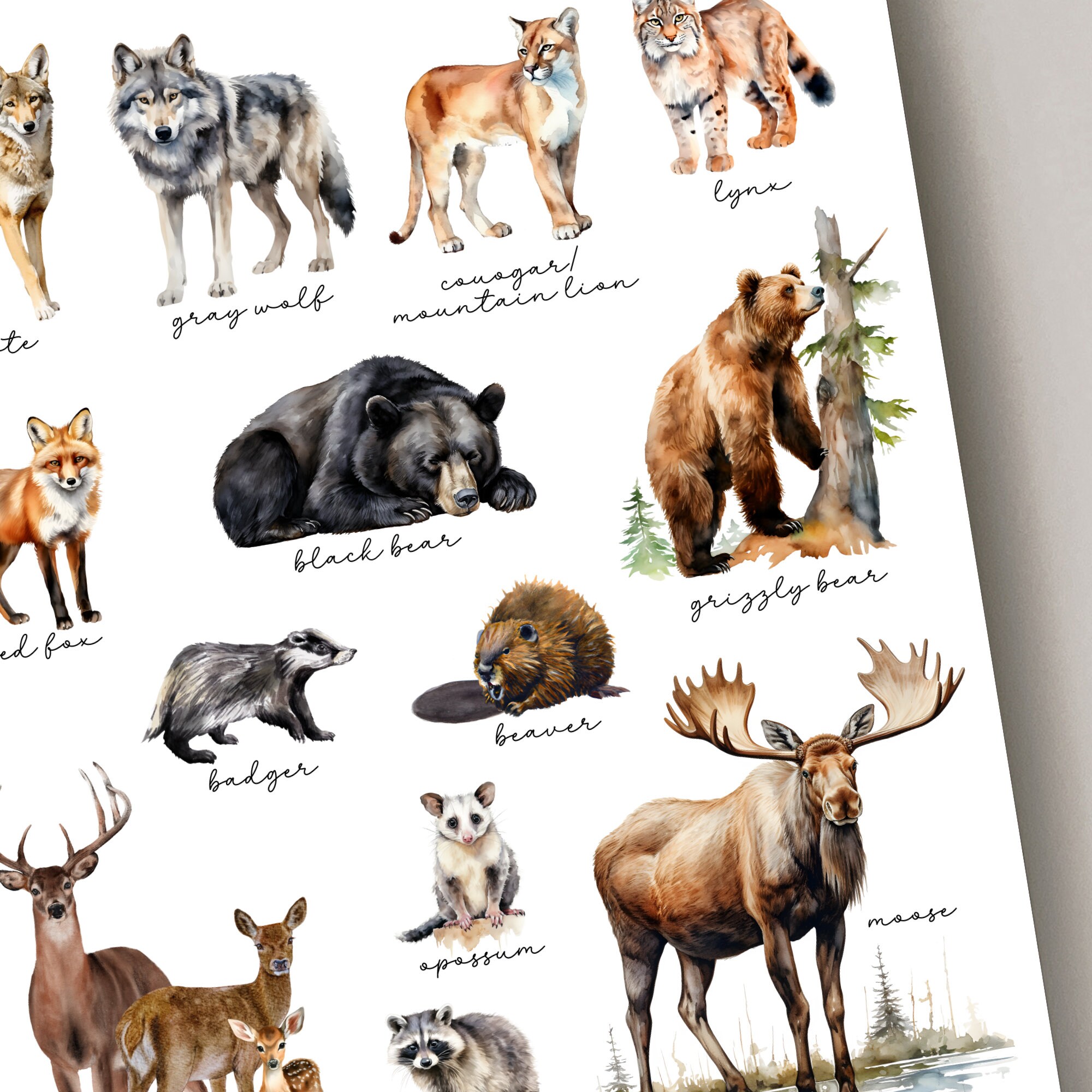 Watercolor Woodland Animals Posters Homeschool Printable - Etsy