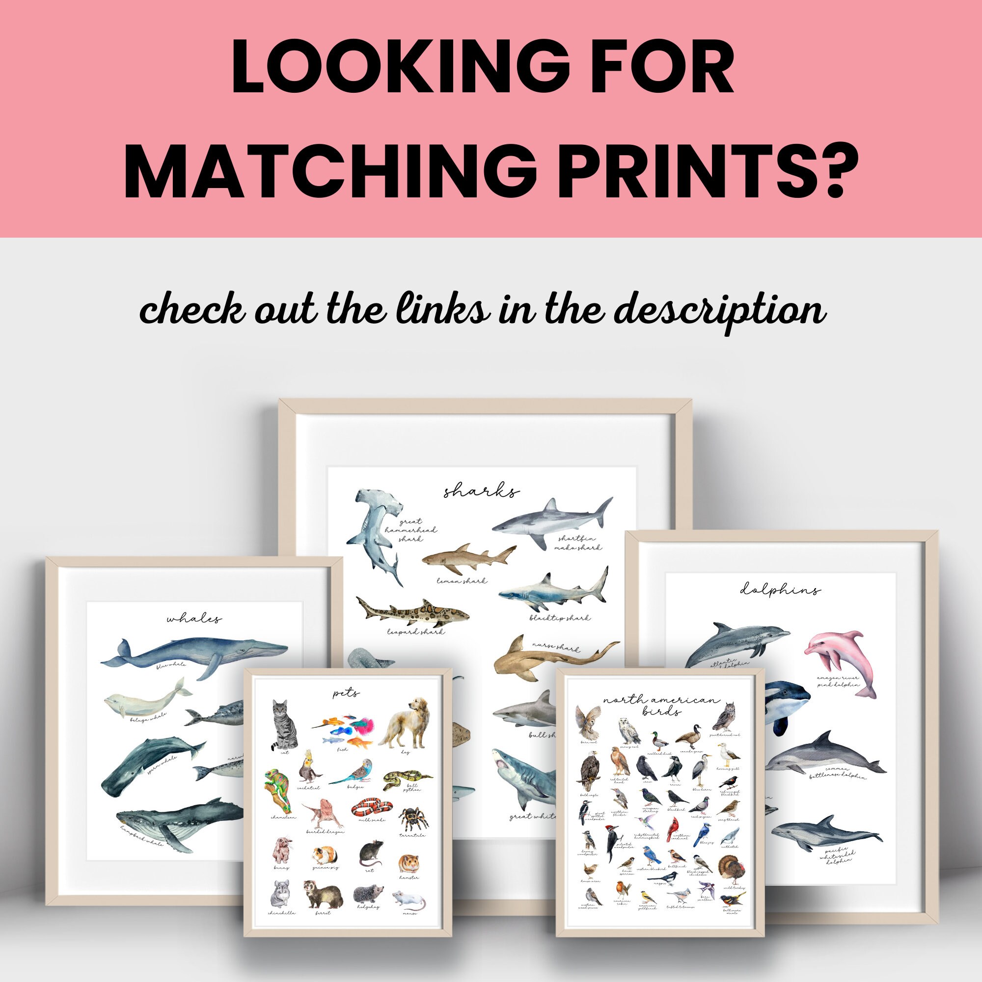 Watercolor Pets Poster: Educational Animals Wall Art (digital Download ...