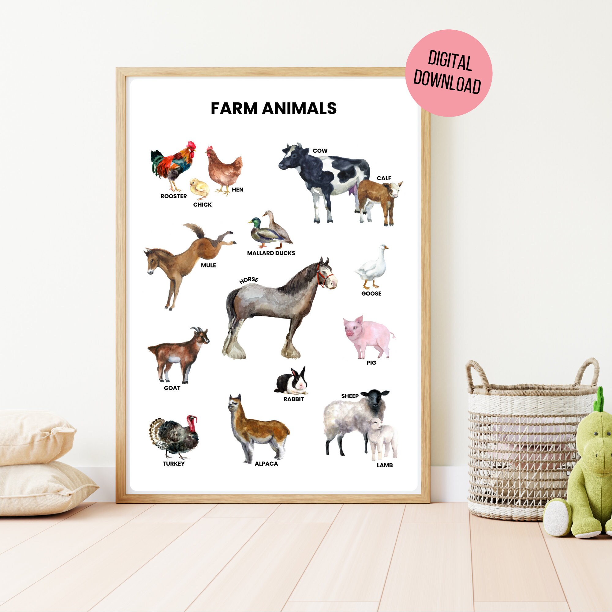 Watercolor Farm Animals Poster, Homeschool Printable, Nature Study ...