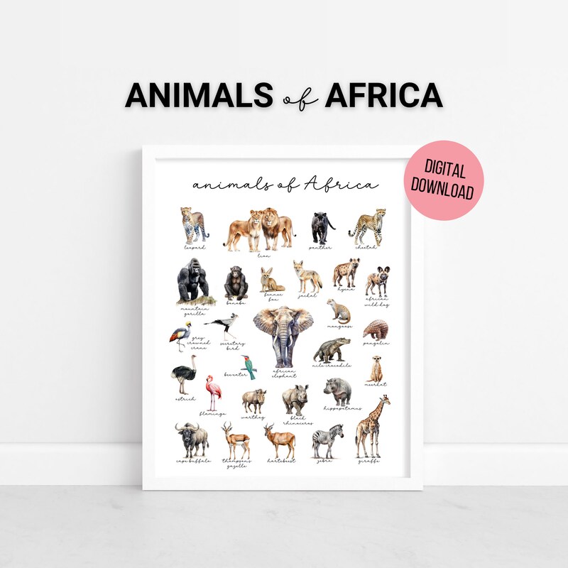 African Animal Posters - Etsy