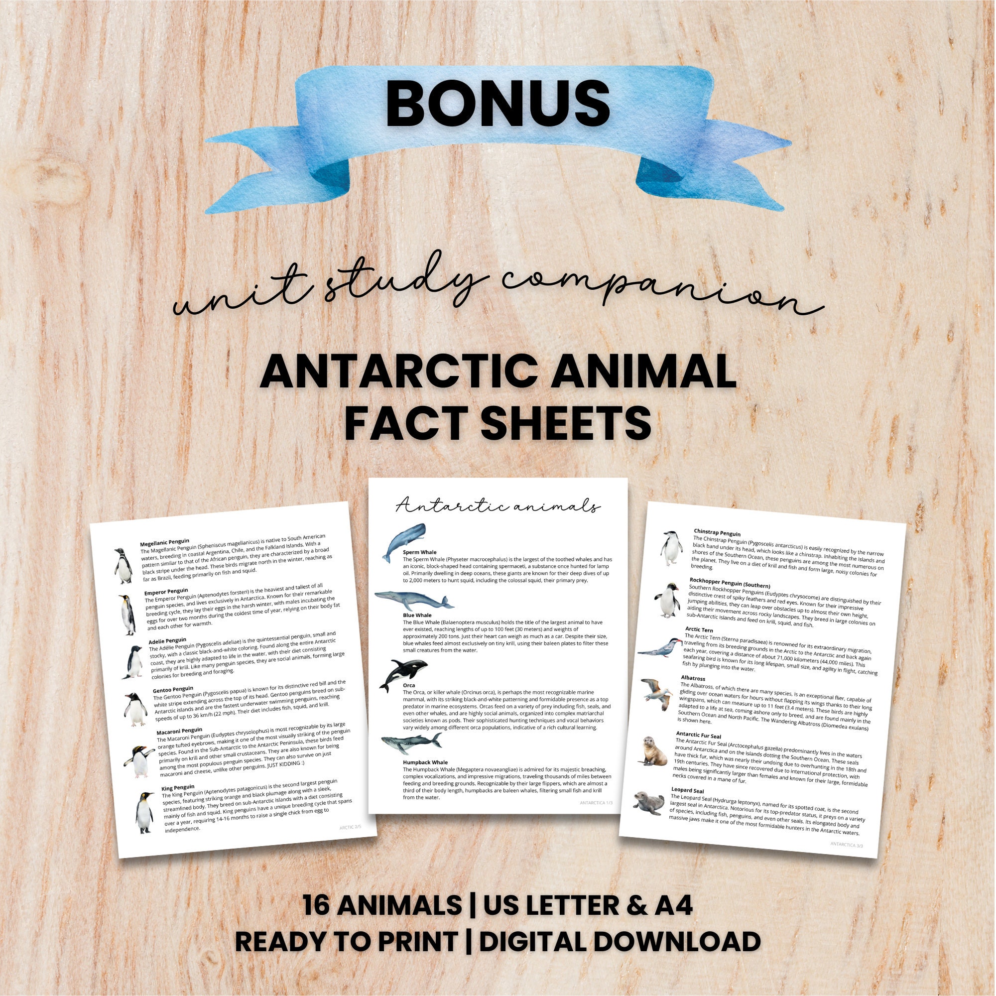 Antarctic Animals Watercolor Poster: Educational Nature Art (digital ...