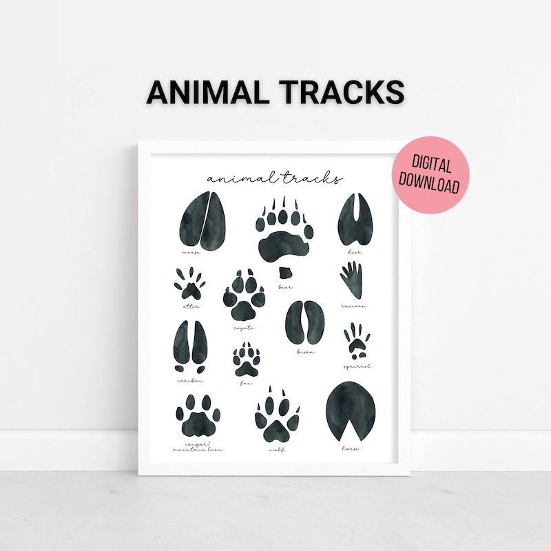 Animal Tracks - Etsy