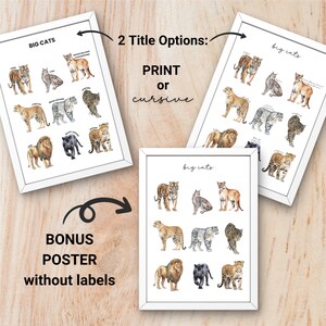 Big Cats Watercolor Poster, Wild Cats, Jungle, Homeschool Printable ...