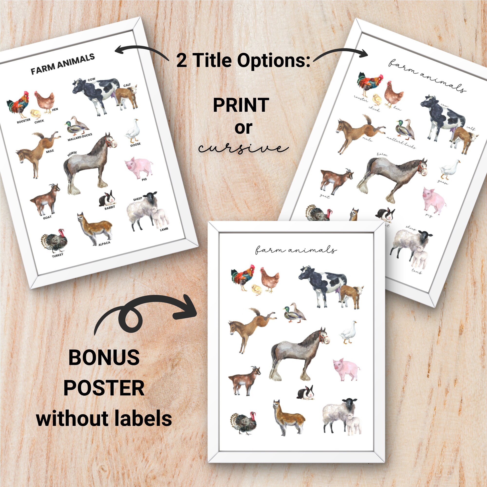 Watercolor Farm Animals Poster, Homeschool Printable, Nature Study ...