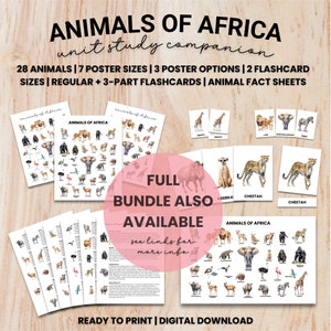 African Animals Flashcards | Three-part Montessori Flashcards | 28 ...