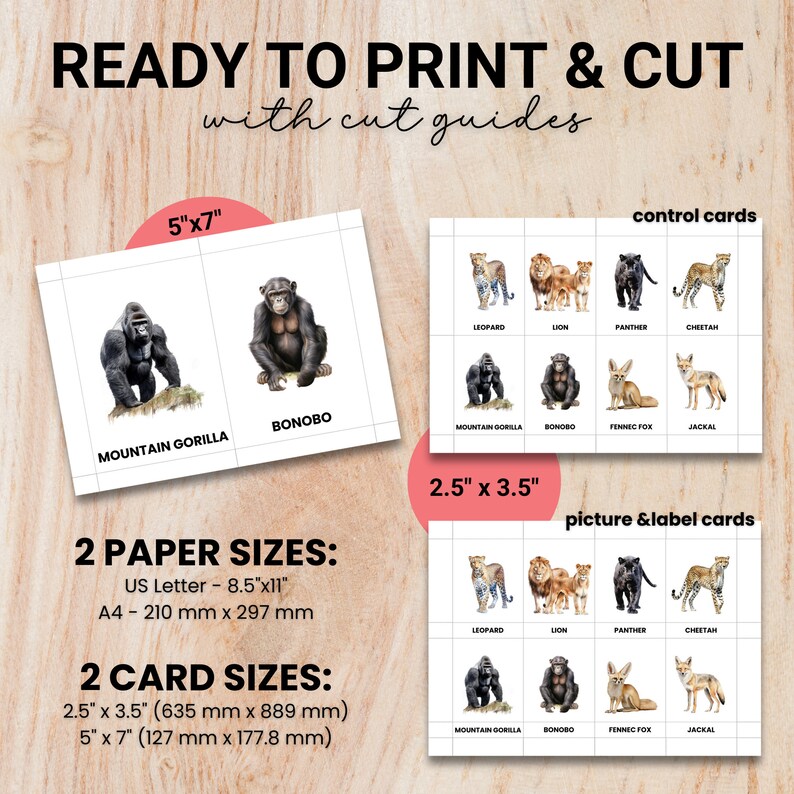 African Animals Flashcards | Three-part Montessori Flashcards | 28 ...