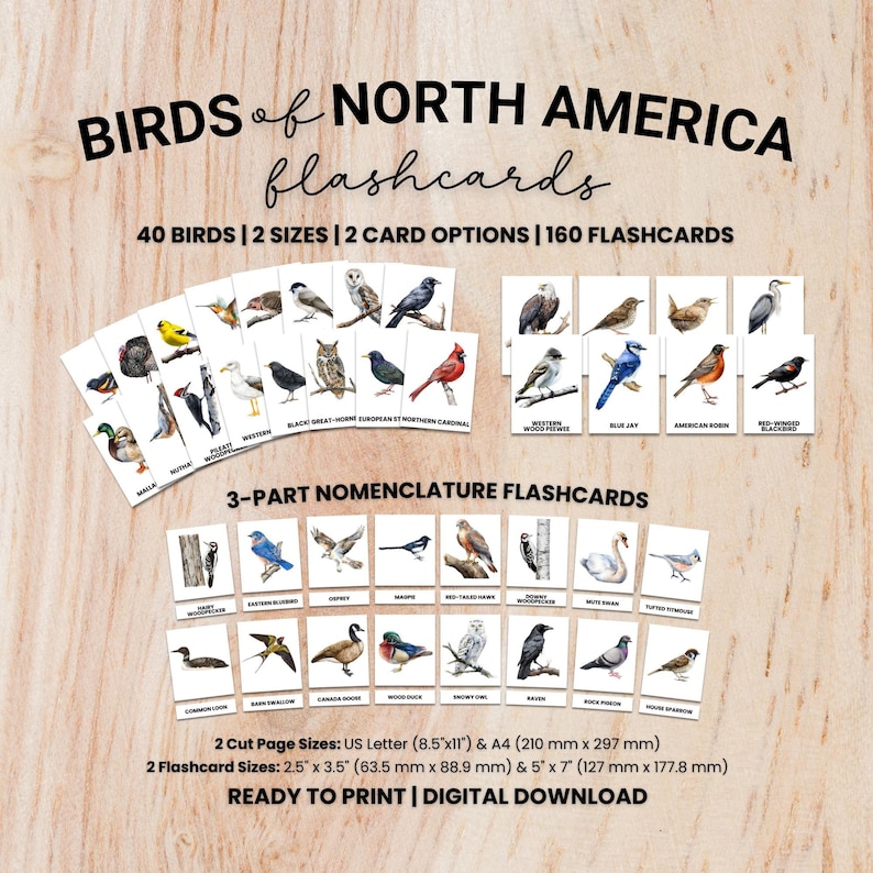 Watercolor North American Birds Flashcards: Montessori Learning ...