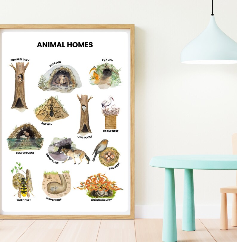 Watercolor Animal Homes & Habitats Poster, Homeschool Printable, Nature ...