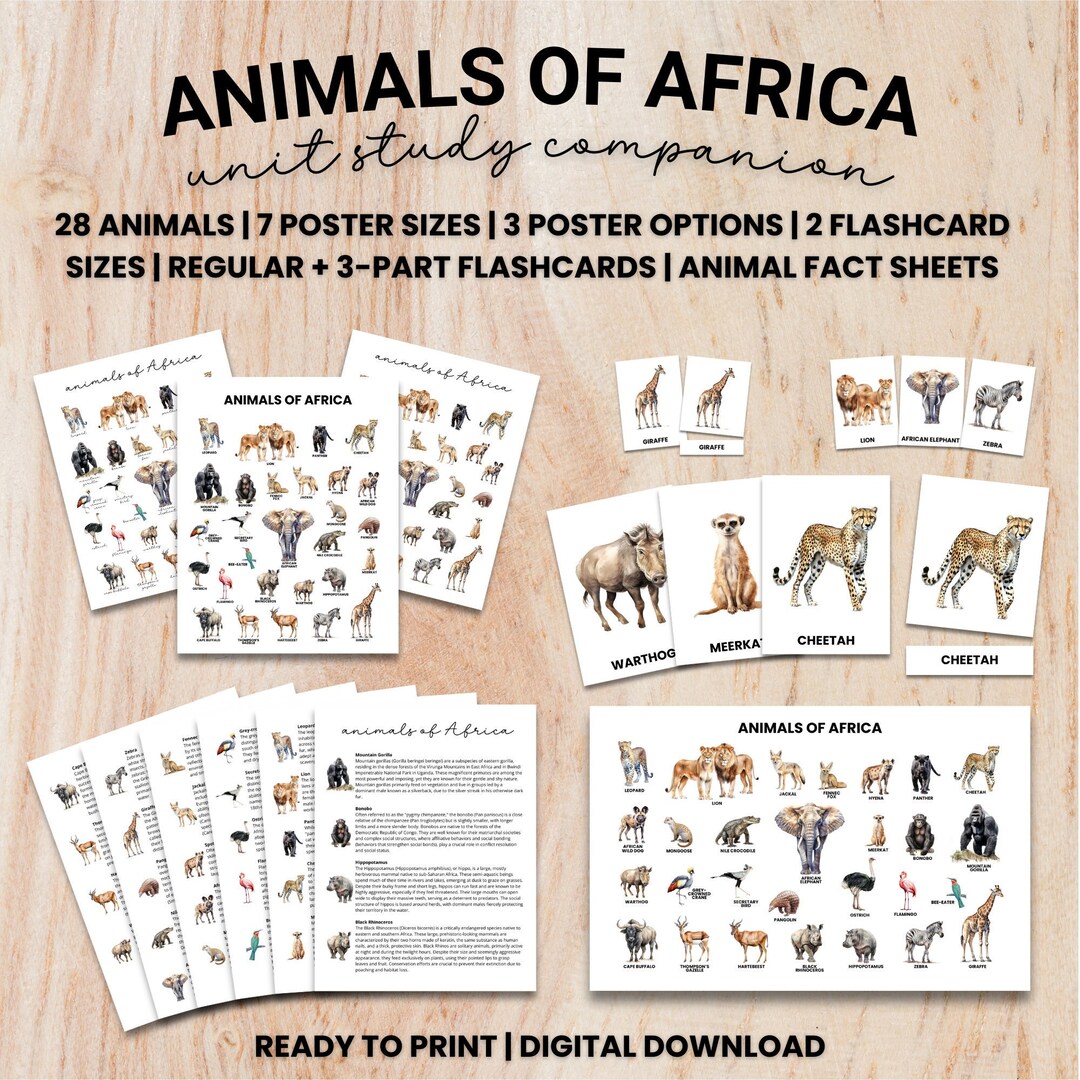 African Animals Poster & Flashcard Bundle, Wildlife Art Print ...