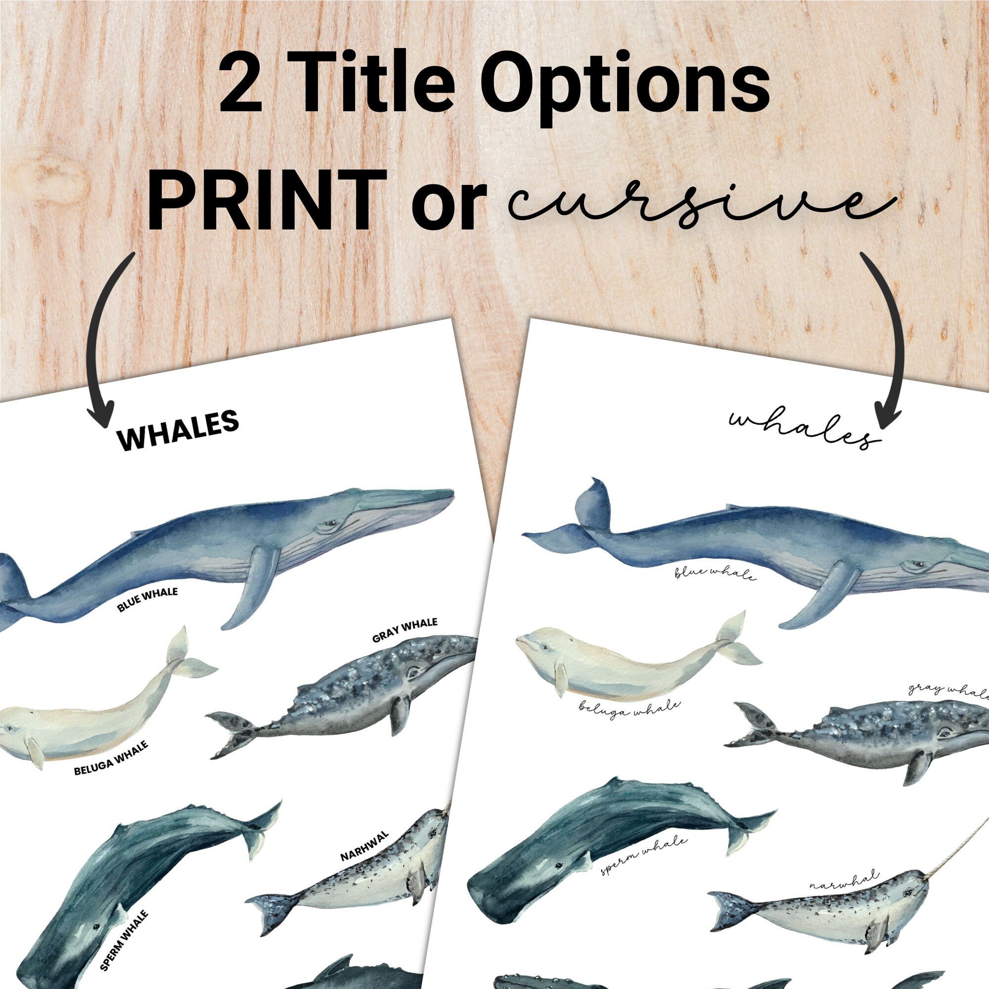 Watercolor Whales Poster Homeschool Printable Sea Animals - Etsy