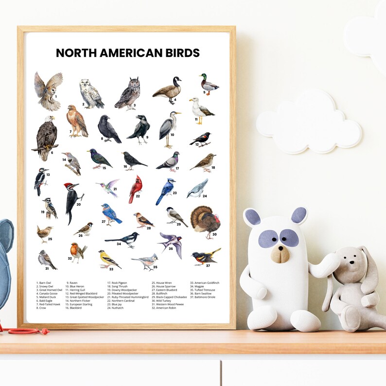 Watercolor North American Birds Poster, Birds Wall Decor, Homeschool ...