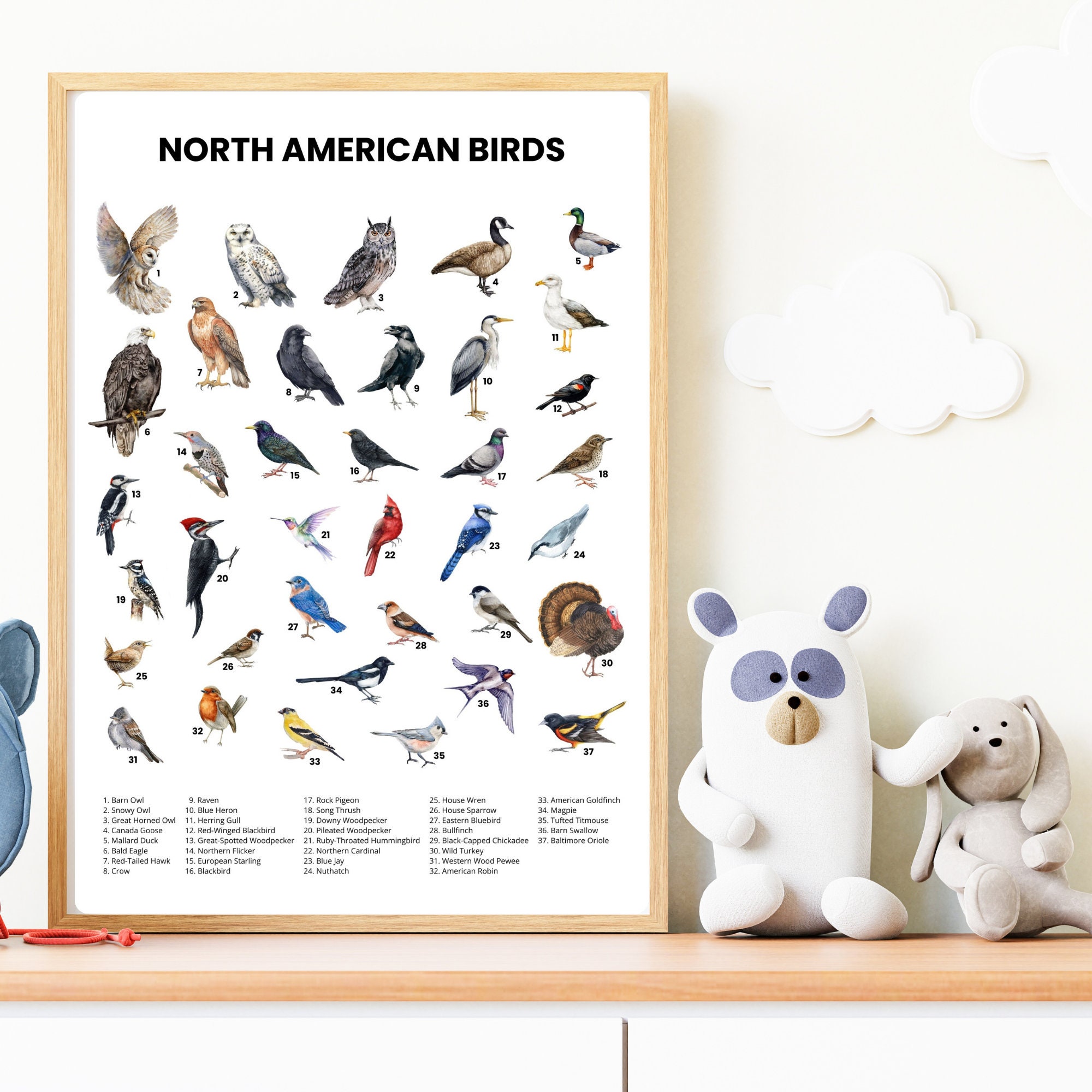 Watercolor North American Birds Poster, Birds Wall Decor, Homeschool ...