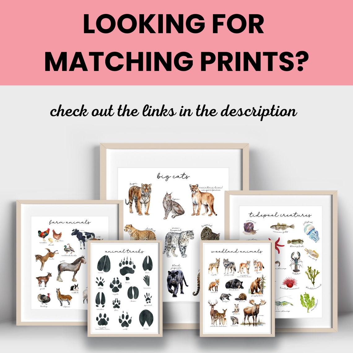 Watercolor Animal Tracks Poster, Homeschool Printable, Nature Study ...