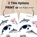 Watercolor Dolphins Poster: Sea Animals Educational Nature Wall Art ...