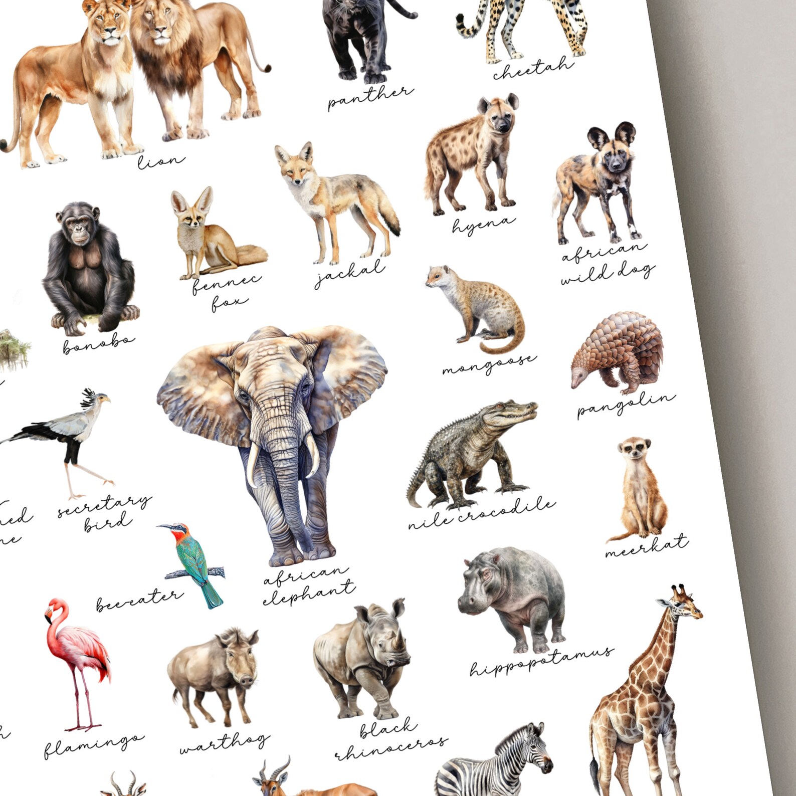 African Animals Flashcards | Three-part Montessori Flashcards | 28 ...