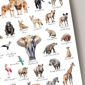 African Animals Flashcards | Three-part Montessori Flashcards | 28 ...