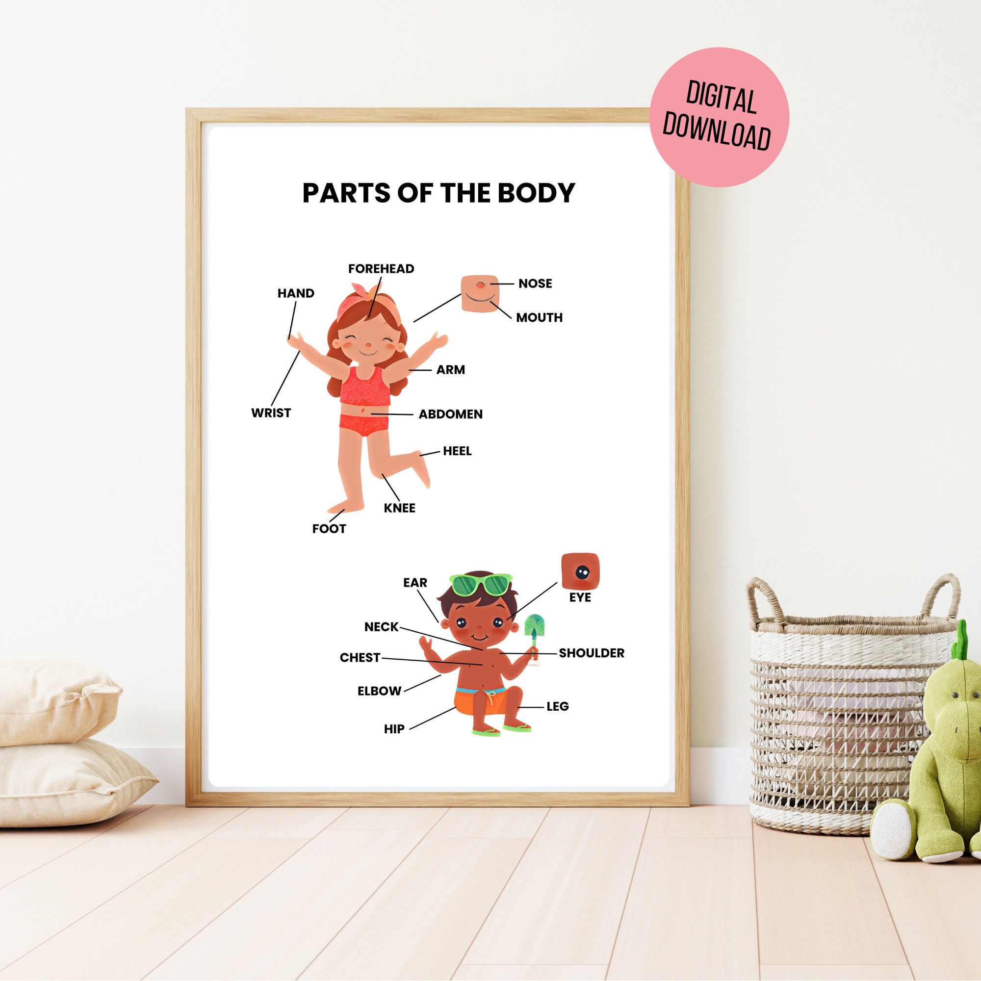 Watercolor Body Poster Human Body Homeschool Printable - Etsy