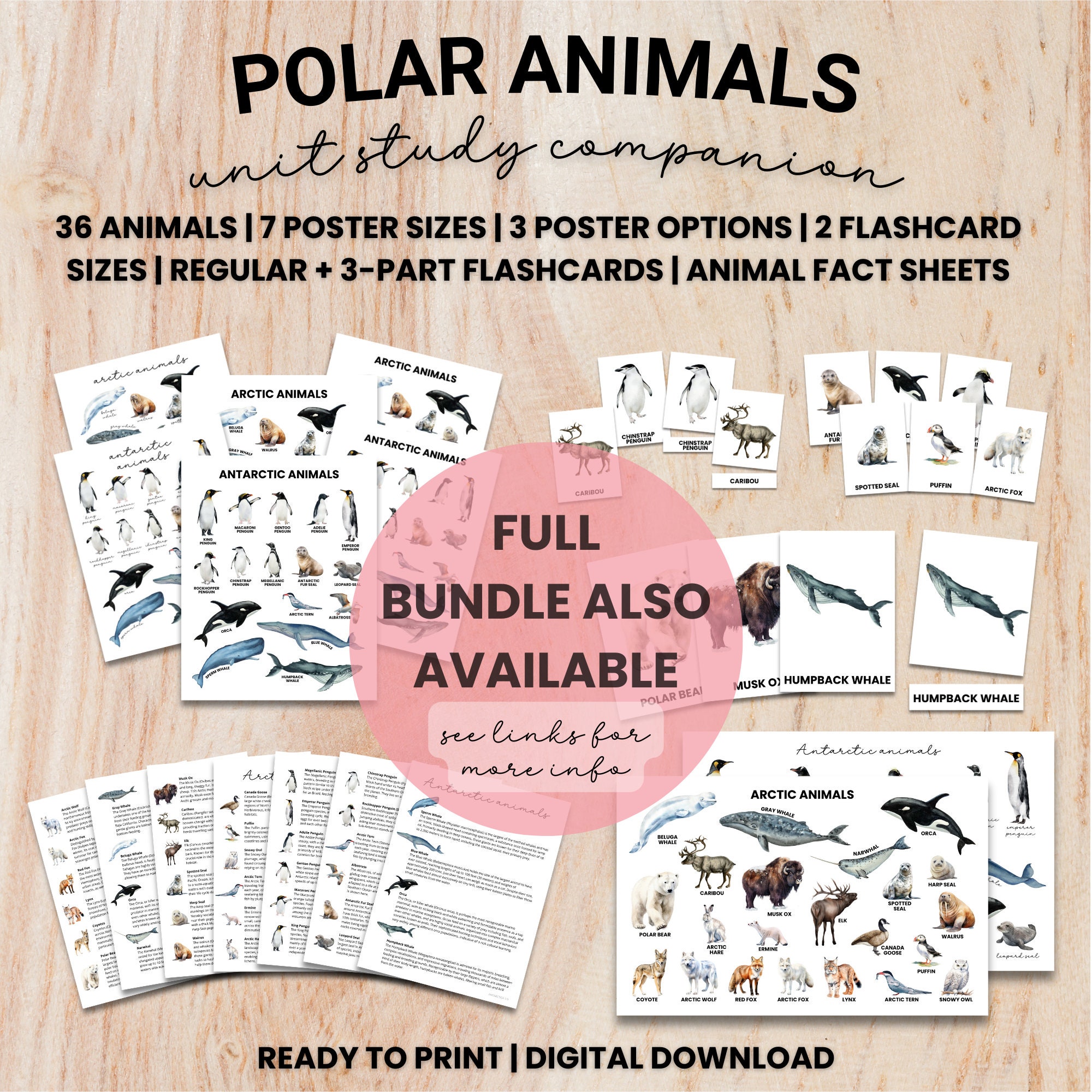 Watercolor Polar Animals Flashcards: Montessori Learning (digital ...
