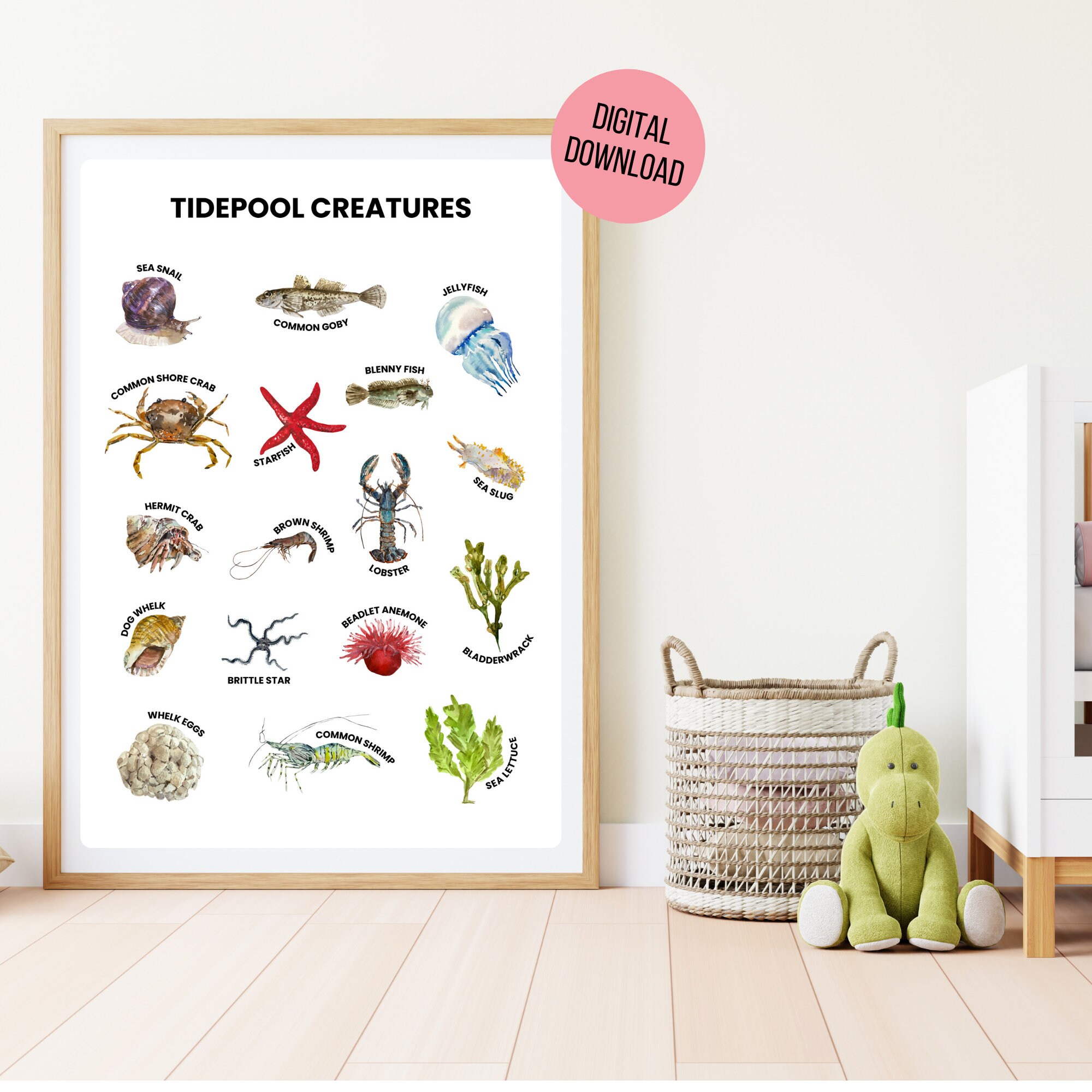 Watercolor Tidepool Creatures Poster: Educational Nature Wall Art ...