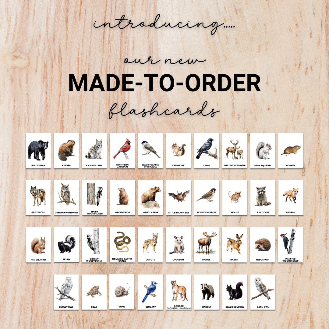 Made-to-order Flashcards | Three-part Montessori Flashcards ...