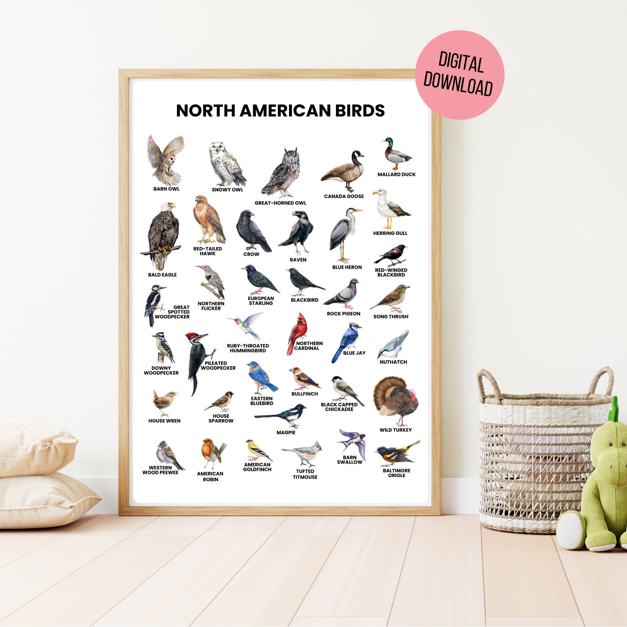 Watercolor North American Birds Poster, Birds Wall Decor, Homeschool ...
