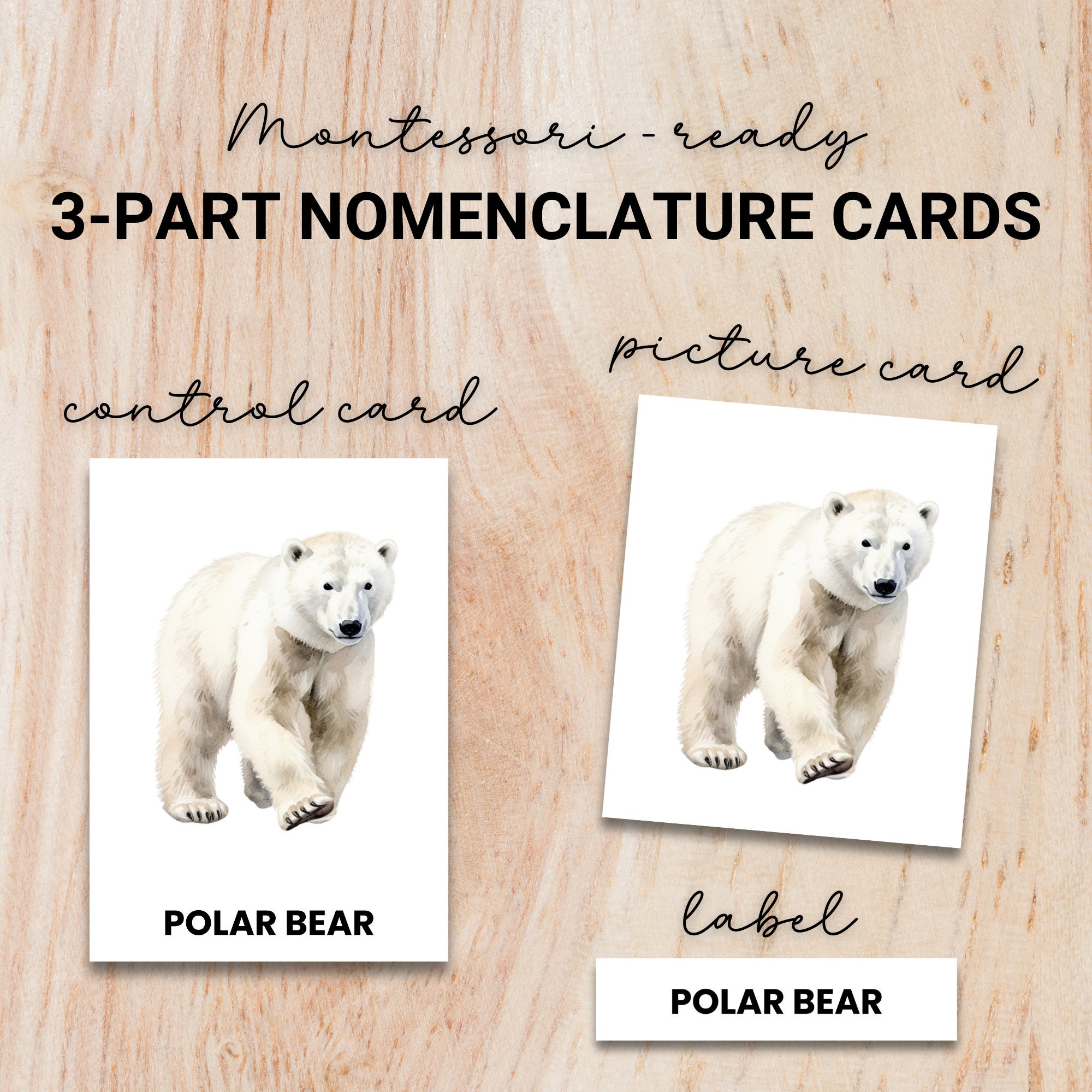 Watercolor Polar Animals Flashcards: Montessori Learning (digital ...