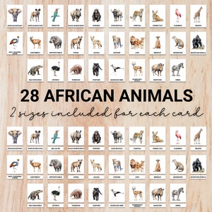 African Animals Flashcards | Three-part Montessori Flashcards | 28 ...