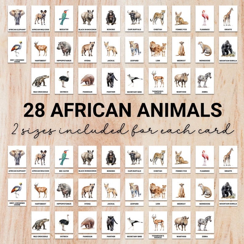 African Animals Flashcards | Three-part Montessori Flashcards | 28 ...