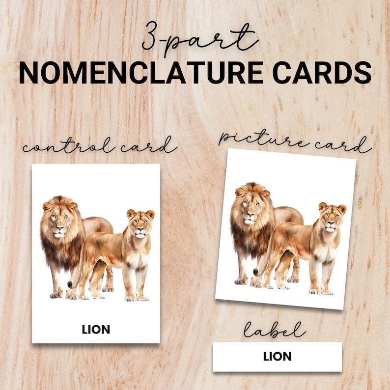 African Animals Flashcards | Three-part Montessori Flashcards | 28 ...