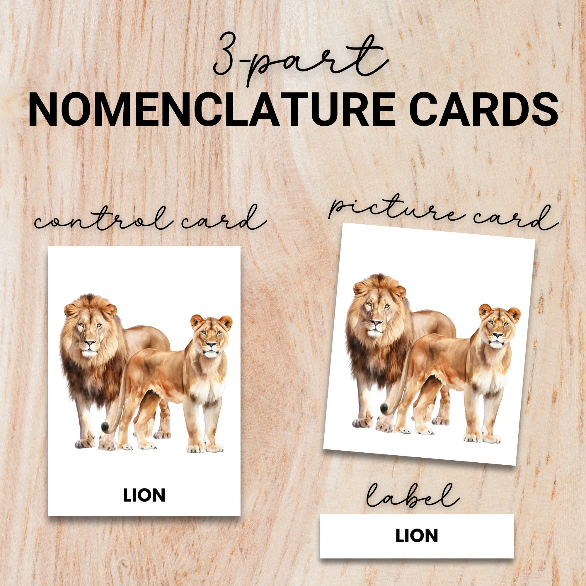 African Animals Flashcards | Three-part Montessori Flashcards | 28 ...