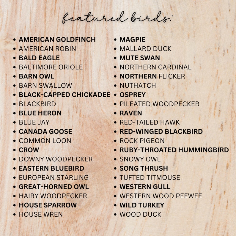 Watercolor North American Birds Flashcards: Montessori Learning ...