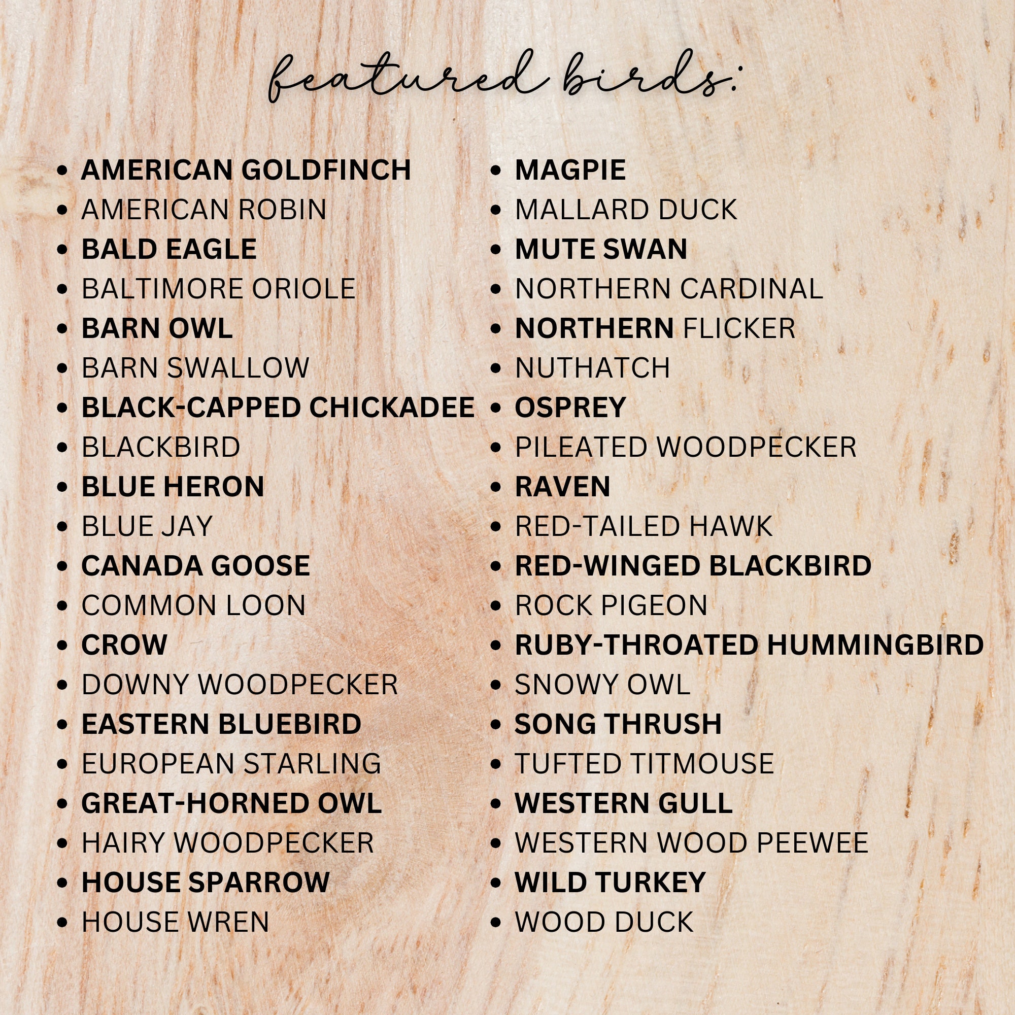 Watercolor North American Birds Flashcards: Montessori Learning ...