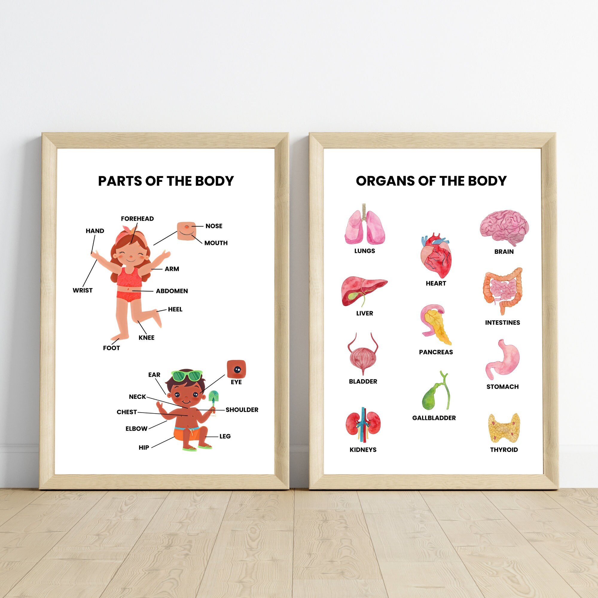 Body, Organs, Senses & Emotions - Set of 4 Watercolor Posters ...
