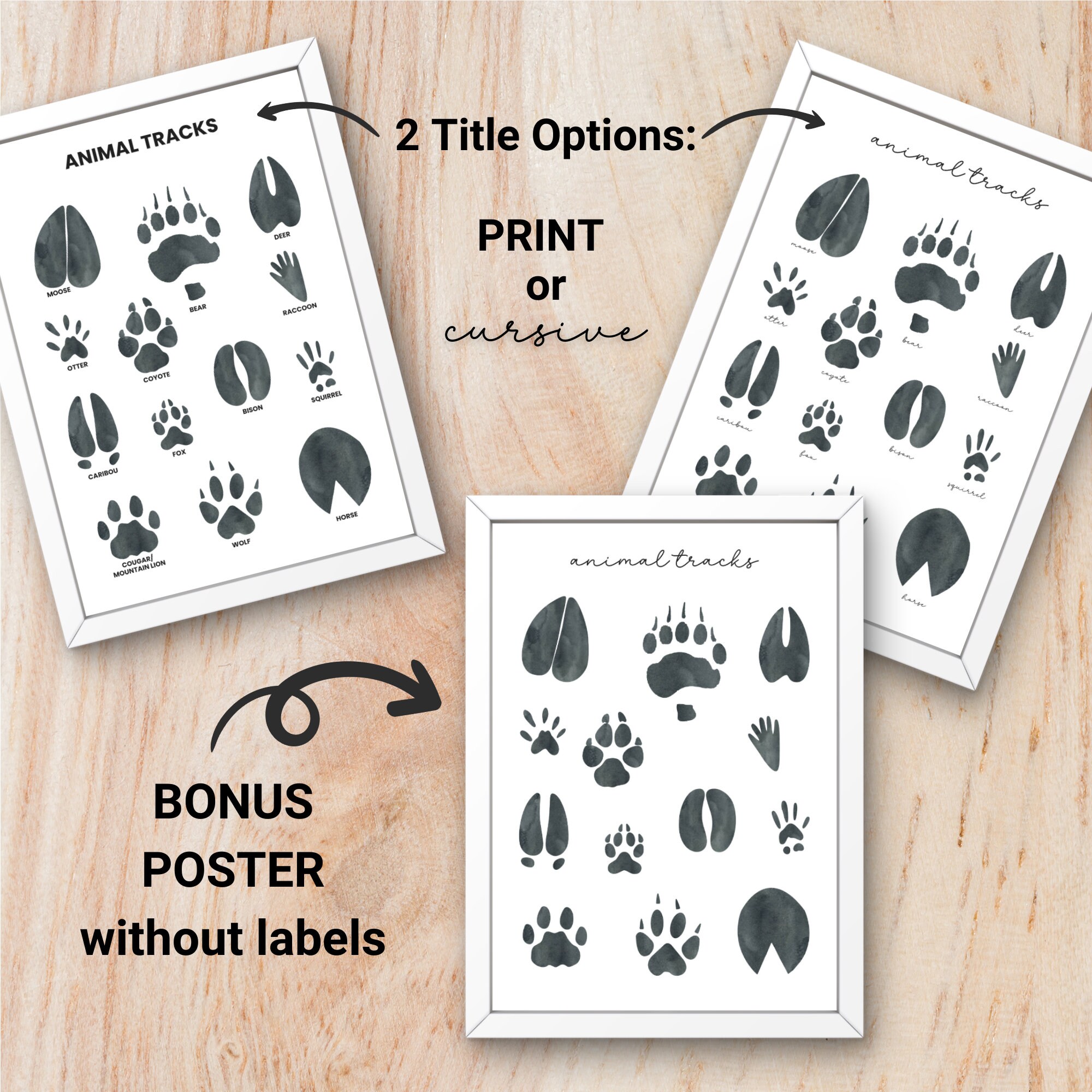 Watercolor Animal Tracks Poster, Homeschool Printable, Nature Study ...